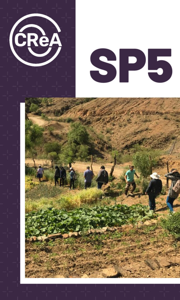 Subproyecto 4 – Crea UCB